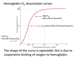 hemoglobin-lab-presentation.pptx