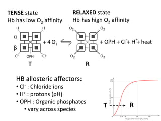 hemoglobin-lab-presentation.pptx