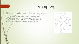 Αιμοσφαιρίνη | PPTX