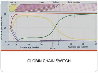 Hemoglobin and erythropoiesis bikal | PPTX | Blood Disorders | Diseases ...