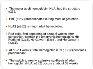 Hemoglobin and erythropoiesis bikal | PPTX | Blood Disorders | Diseases ...