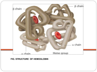 Hemoglobin and erythropoiesis bikal | PPTX
