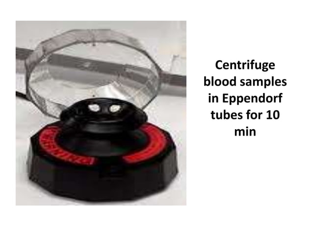 Hemoglobin and hematocrit determination | PPTX | Blood Disorders ...