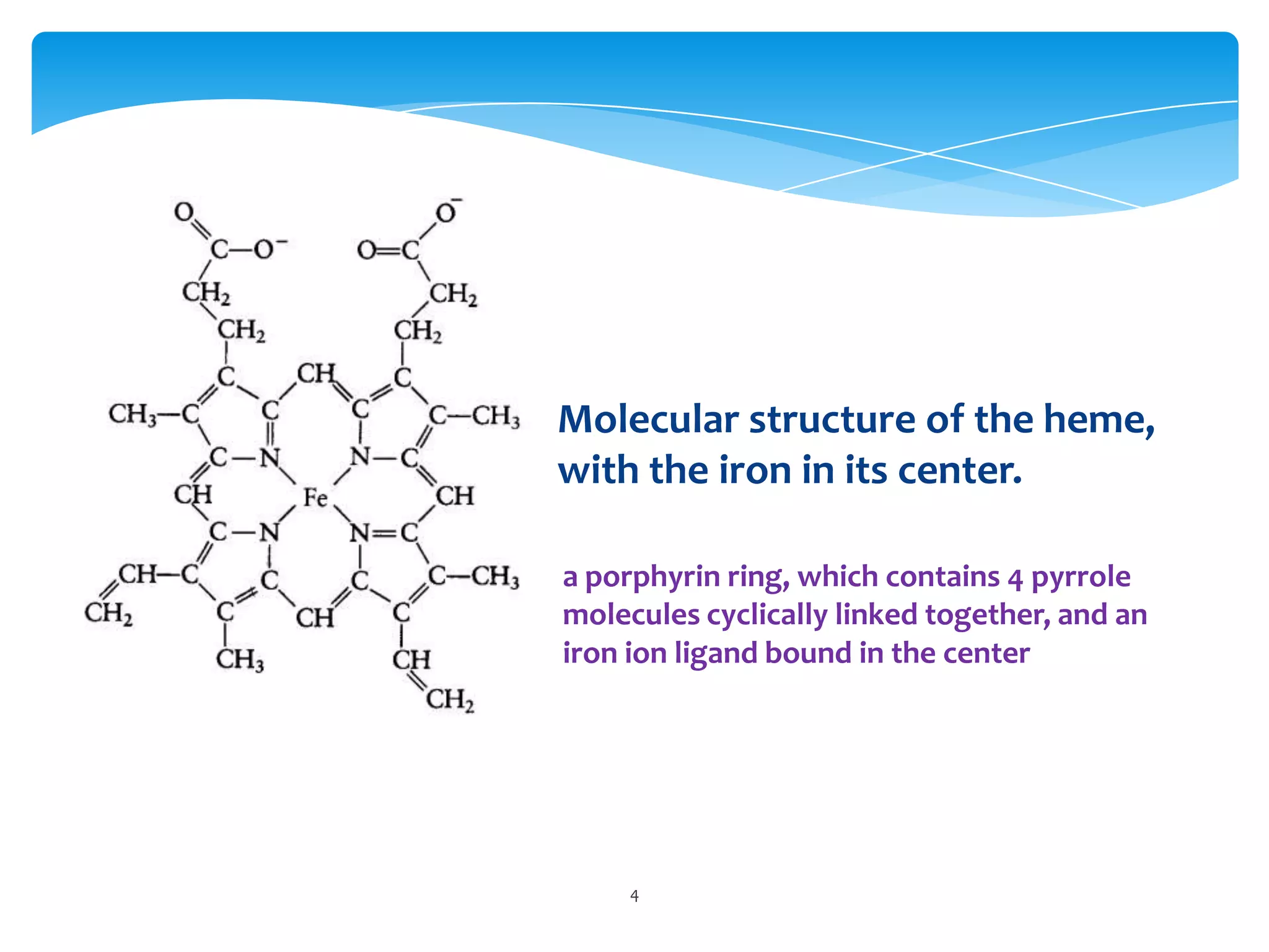 Hemoglobin and insulin | PPT