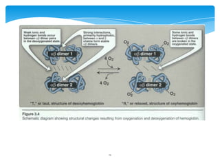 Hemoglobin and insulin | PPTX