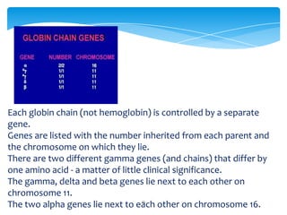 Hemoglobin and insulin | PPTX