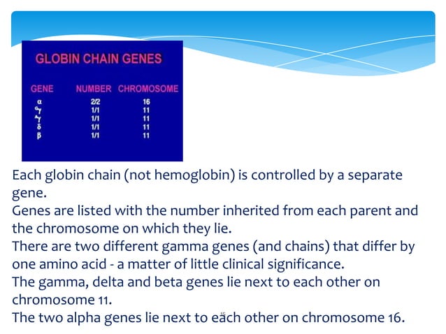 Hemoglobin and insulin | PPT