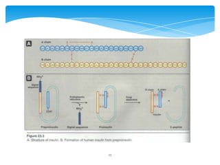 Hemoglobin and insulin | PPTX