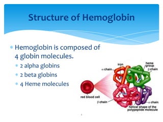 Hemoglobin Structure