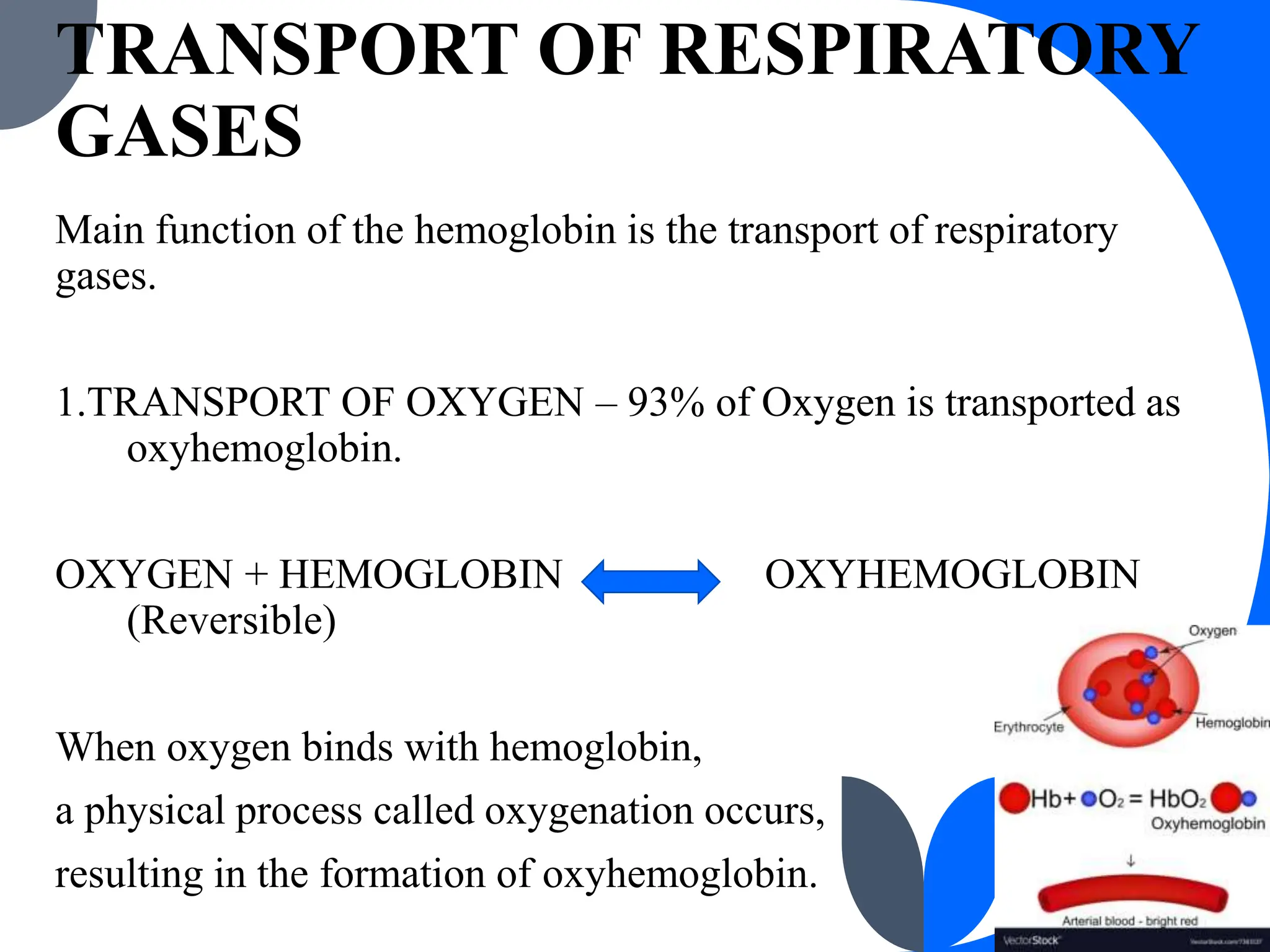 hemoglobin and iron metabolism.pptx