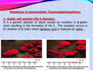 hemoglobin and myoglobin .pptx | Free Download