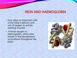 hemoglobin and myoglobin .pptx | Free Download