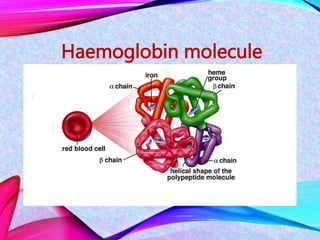 hemoglobin and myoglobin .pptx
