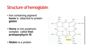 hemoglobin and myoglobin (1).pptx
