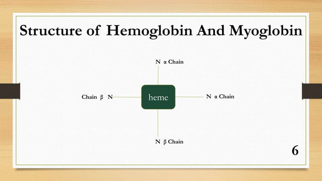 Hemoglobin and myoglobin(new) | PPTX | Blood Disorders | Diseases and ...