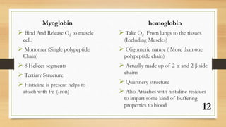 Hemoglobin and myoglobin | PPTX