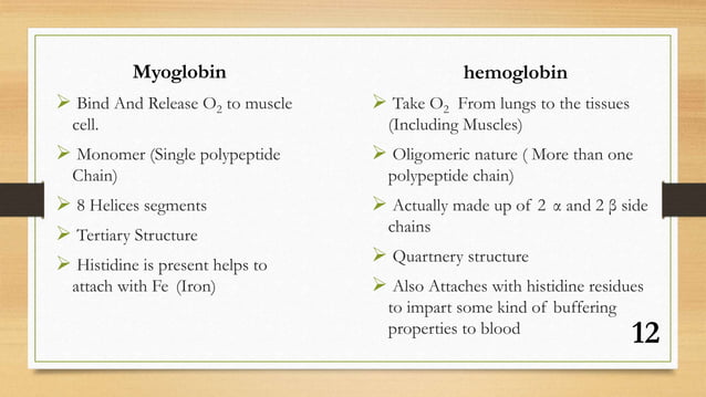 Hemoglobin and myoglobin | PPTX | Blood Disorders | Diseases and Conditions