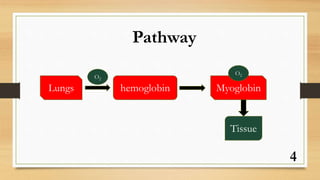 Hemoglobin and myoglobin | PPTX