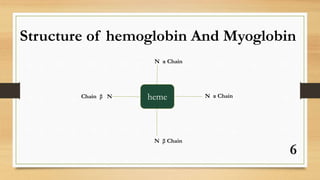 Hemoglobin and myoglobin | PPTX
