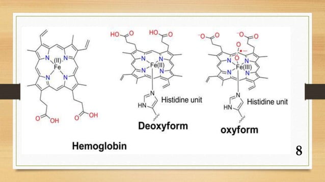 Hemoglobin and myoglobin | PPTX | Blood Disorders | Diseases and Conditions