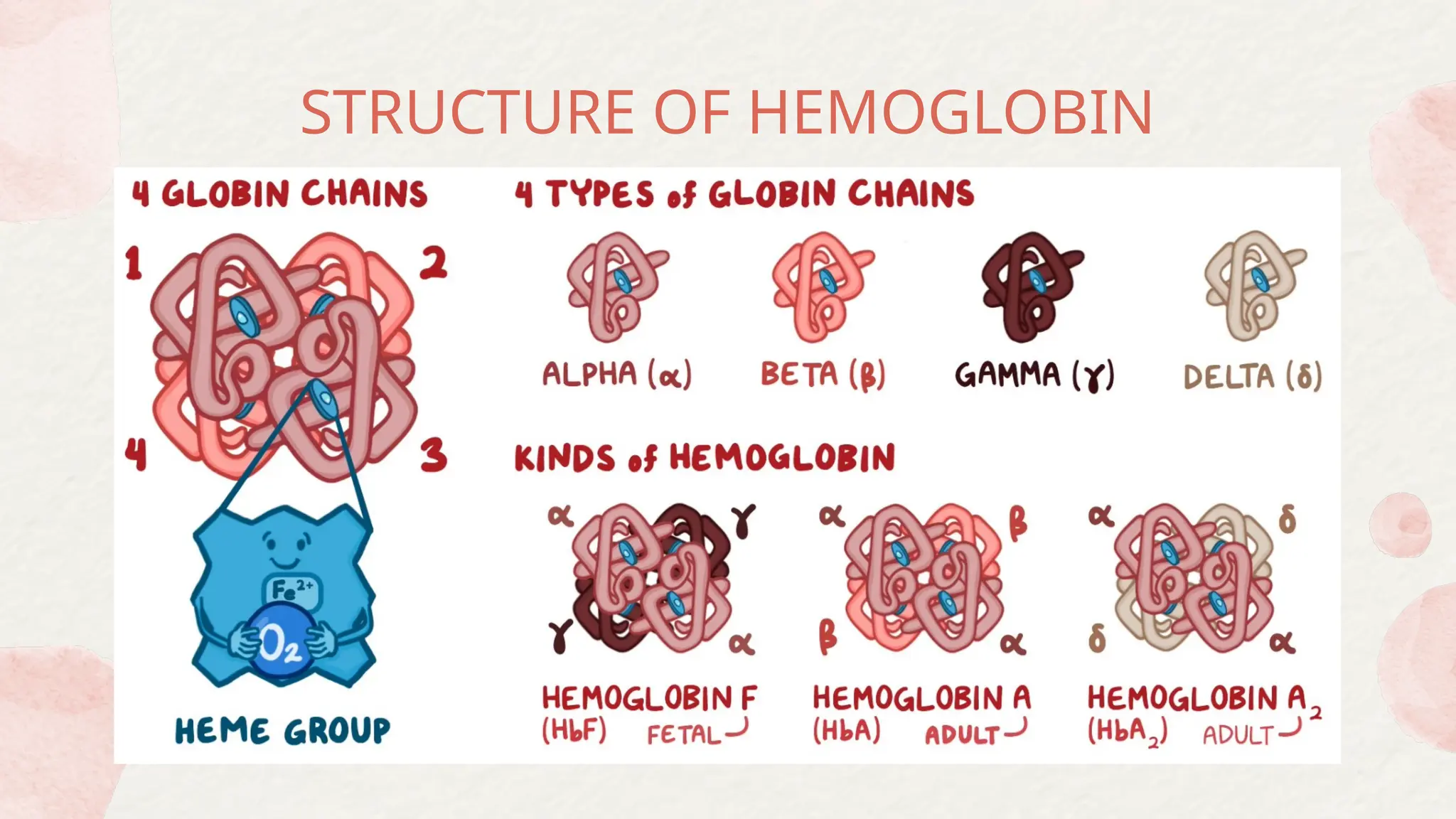 Hemoglobin Bart's Hydrops Fetalis.pptxxxx | PPTX
