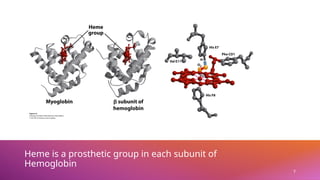 Chemistry of Hemoglobin, the miracle molecule that carries oxygen | PPTX