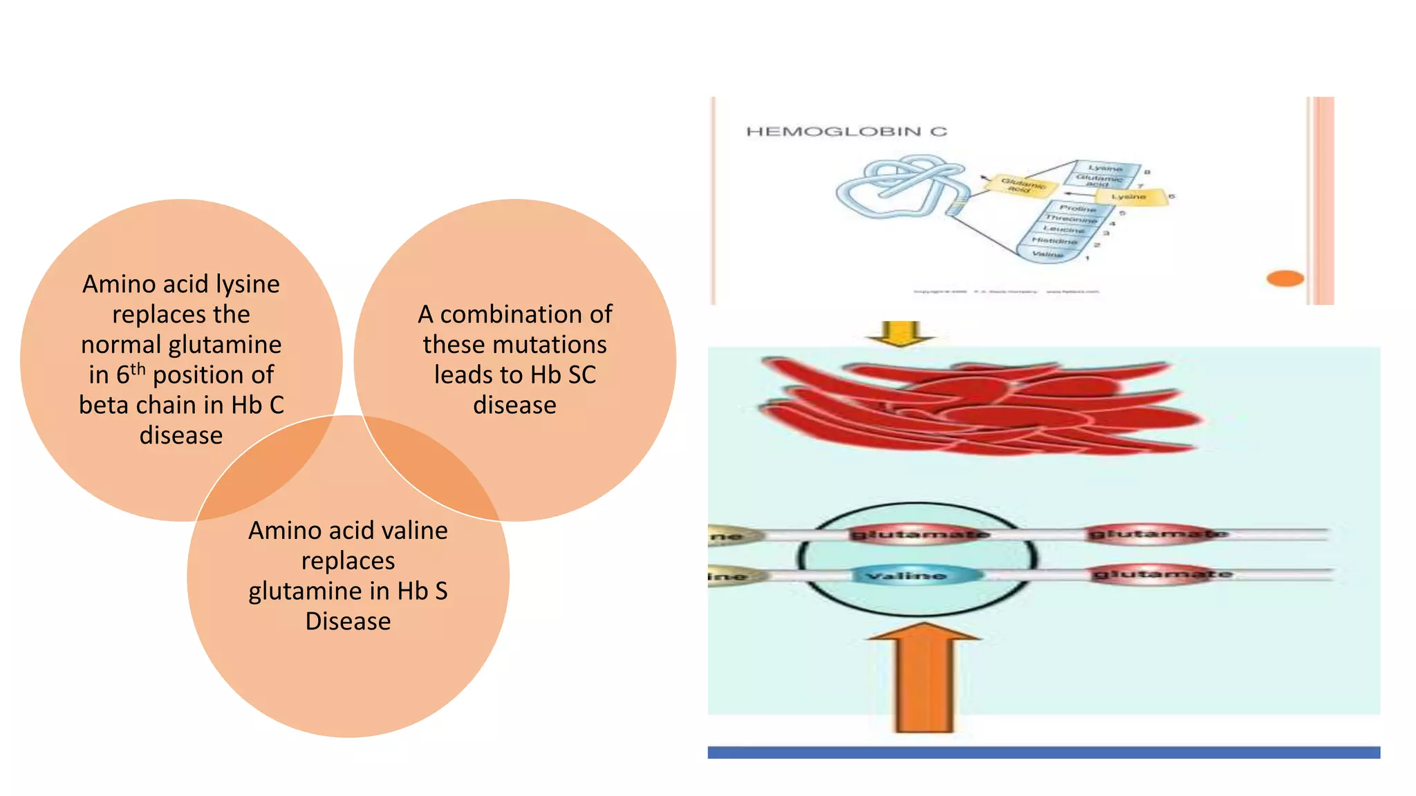 Hemoglobin C and SC Blood Disorders | PPT