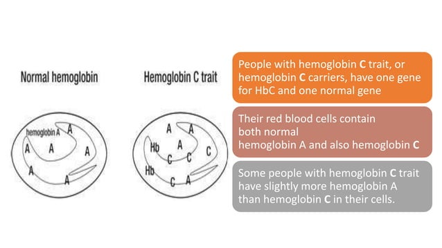 Hemoglobin C and SC Blood Disorders | PPT