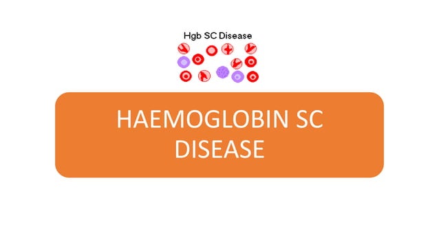 Hemoglobin C and SC Blood Disorders | PPT