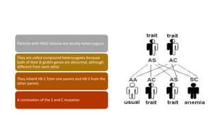 Hemoglobin C and SC Blood Disorders | PPT