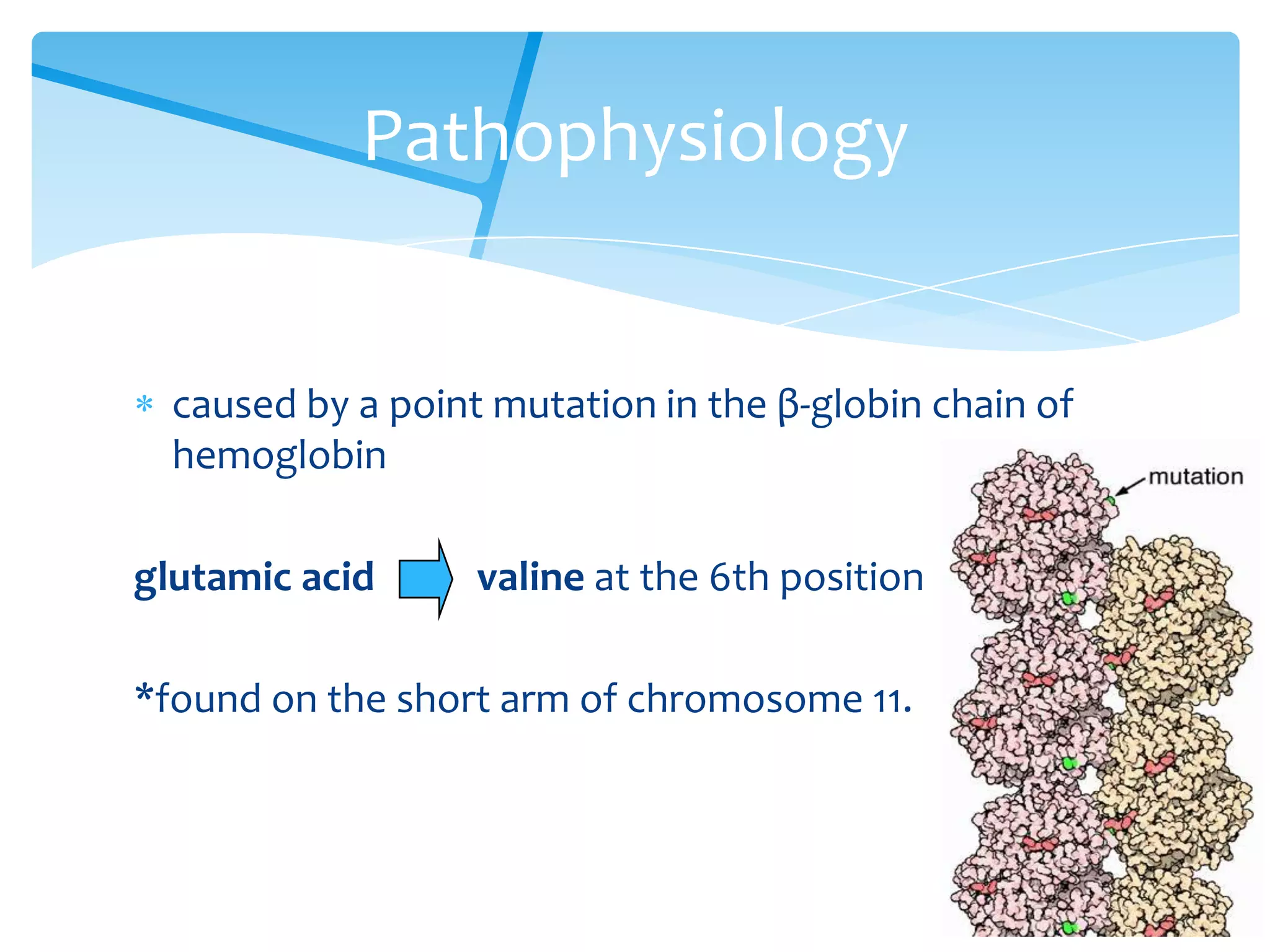 Hemoglobin disorders final | PPTX