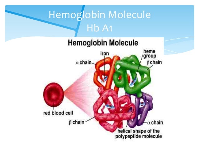 Hemoglobin disorders final