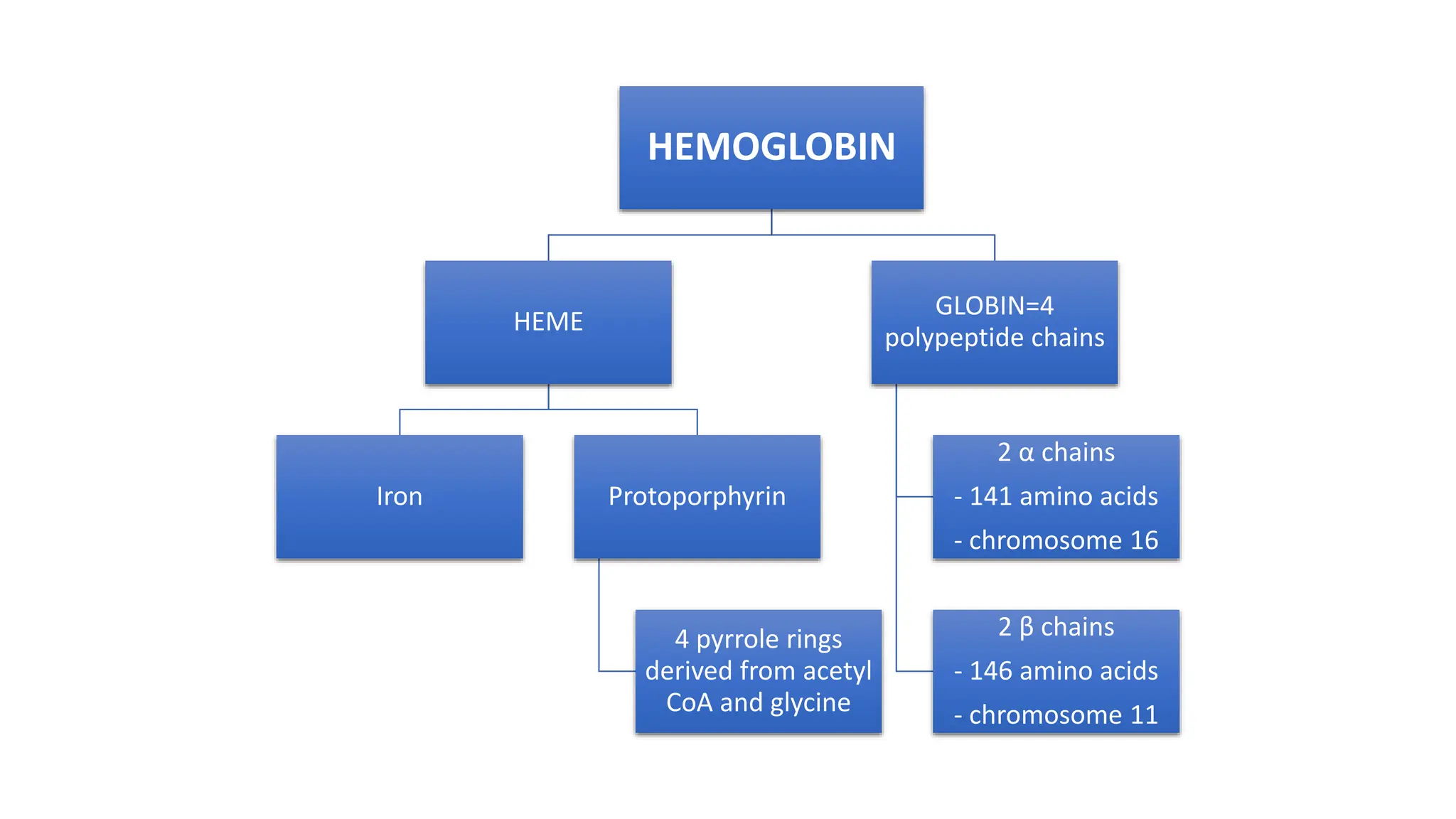 HEMOGLOBIN ESTIMATION AND STAINING OF PERIPHERAL BLOOD SMEAR.pptx