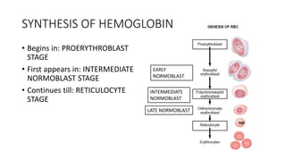 HEMOGLOBIN ESTIMATION AND STAINING OF PERIPHERAL BLOOD SMEAR.pptx