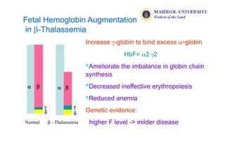 Hemoglobin F Enhancers | PPT