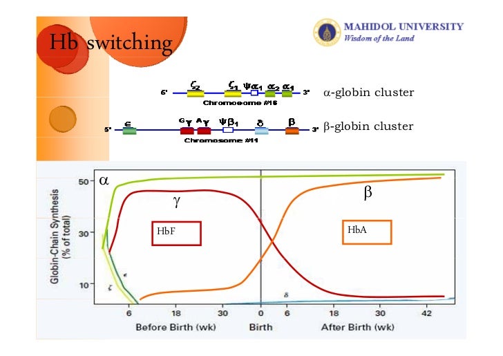 Hemoglobin F Enhancers