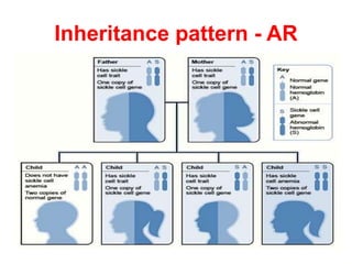 Hemoglobin for first year students | PPT