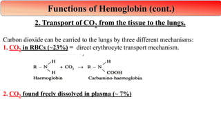 Hemoglobin (Hb) synthesis HB HB HB HB.pdf