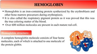 Hemoglobin (Hb) synthesis HB HB HB HB.pdf