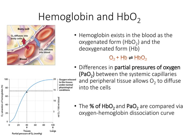 Hemoglobin lab.pptx