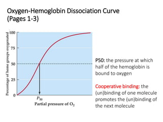 Hemoglobin lab.pptx