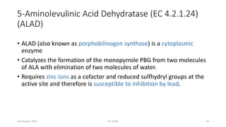 Hemoglobin metabolism and porphyrias | PPTX | Blood Disorders | Diseases and Conditions