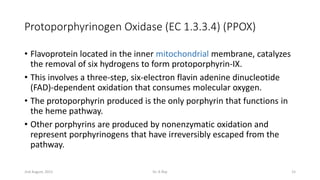Hemoglobin metabolism and porphyrias | PPTX | Blood Disorders ...