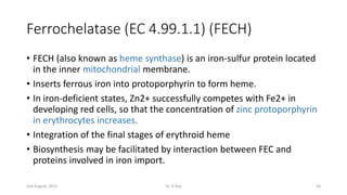 Hemoglobin metabolism and porphyrias | PPTX | Blood Disorders ...