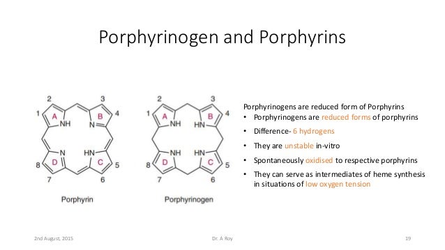 Hemoglobin metabolism and porphyrias