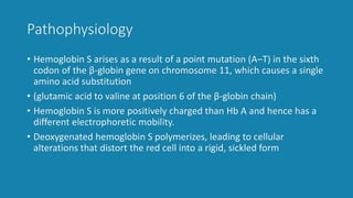 Sickle Cell Anemia | PPTX