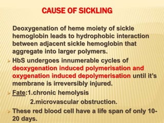 Hemoglobinopathies | PPTX | Blood Disorders | Diseases and Conditions