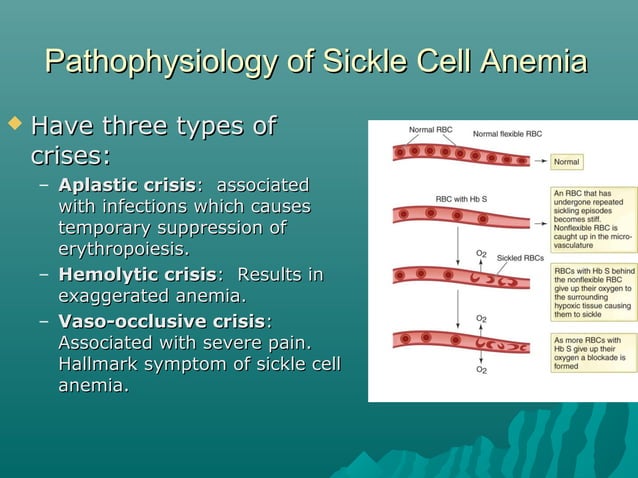 Hemoglobinopathies | PPT