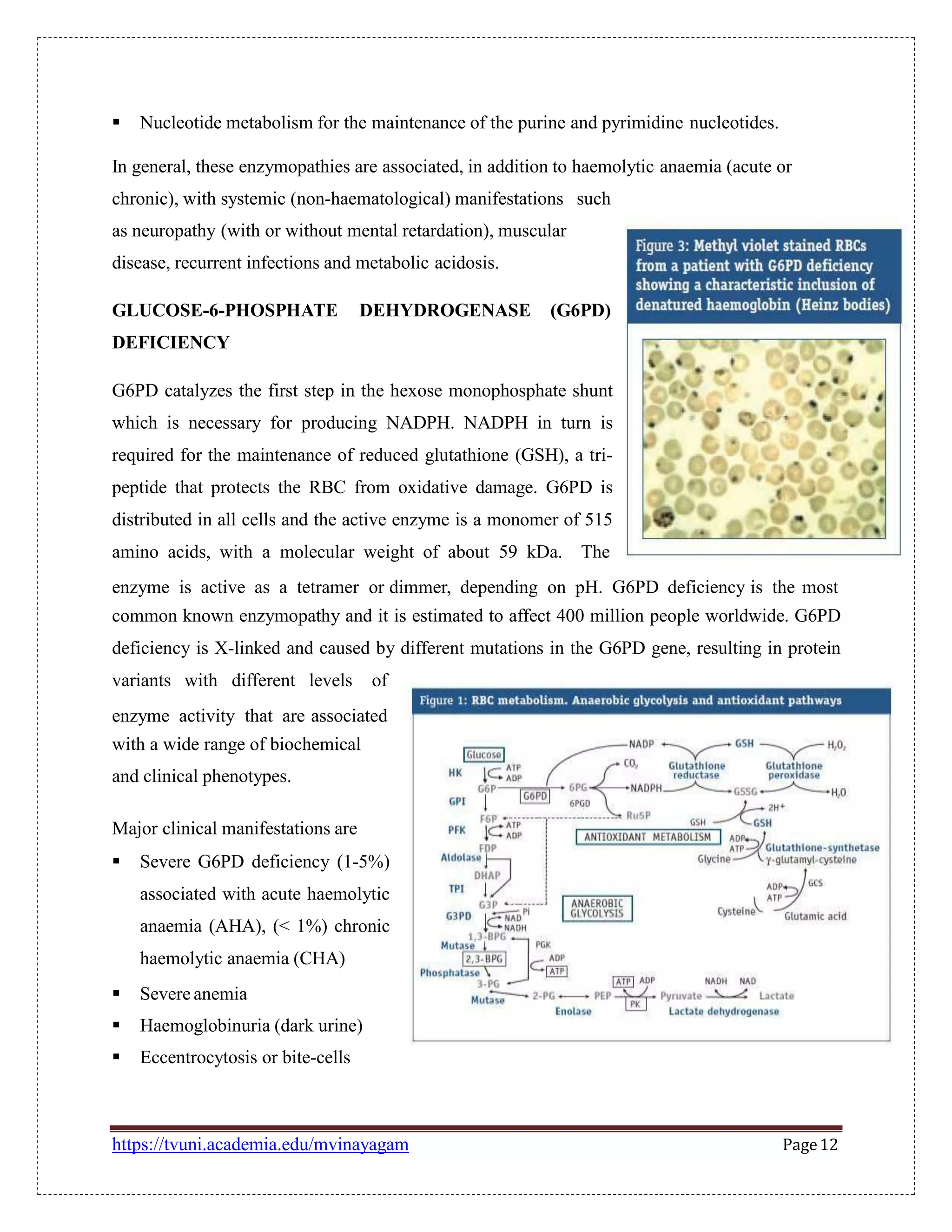 Hemoglobinopathy & erythrocyte enzyme disorder | PPTX
