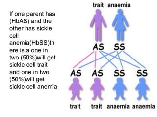 Hemoglobinopathy -sickle cell anemia | PPTX